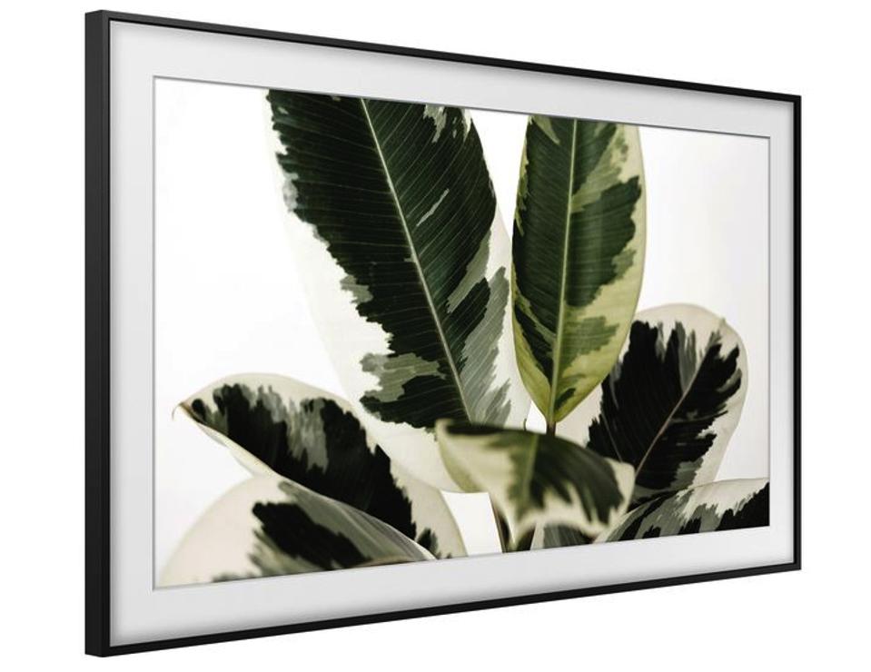 Samsung Giving Away Free Big-Screen Designer TVs With 2020 8K TV Preorders