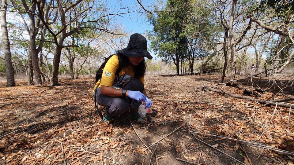 This Indonesian Scientist Studies The World’s ‘Newest’ Orangutans