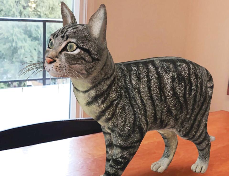 Google’s Tigers And Ponies Are Democratizing Augmented Reality, And It ...