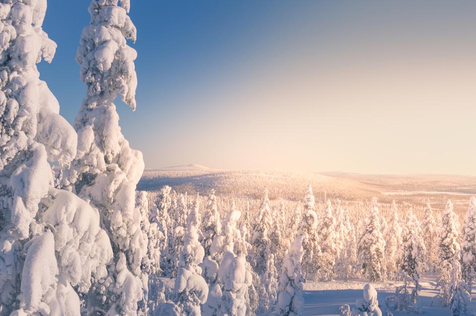 Virtually Escape To HaliPuu, One Of Finland Lapland’s Most Breathtaking ...