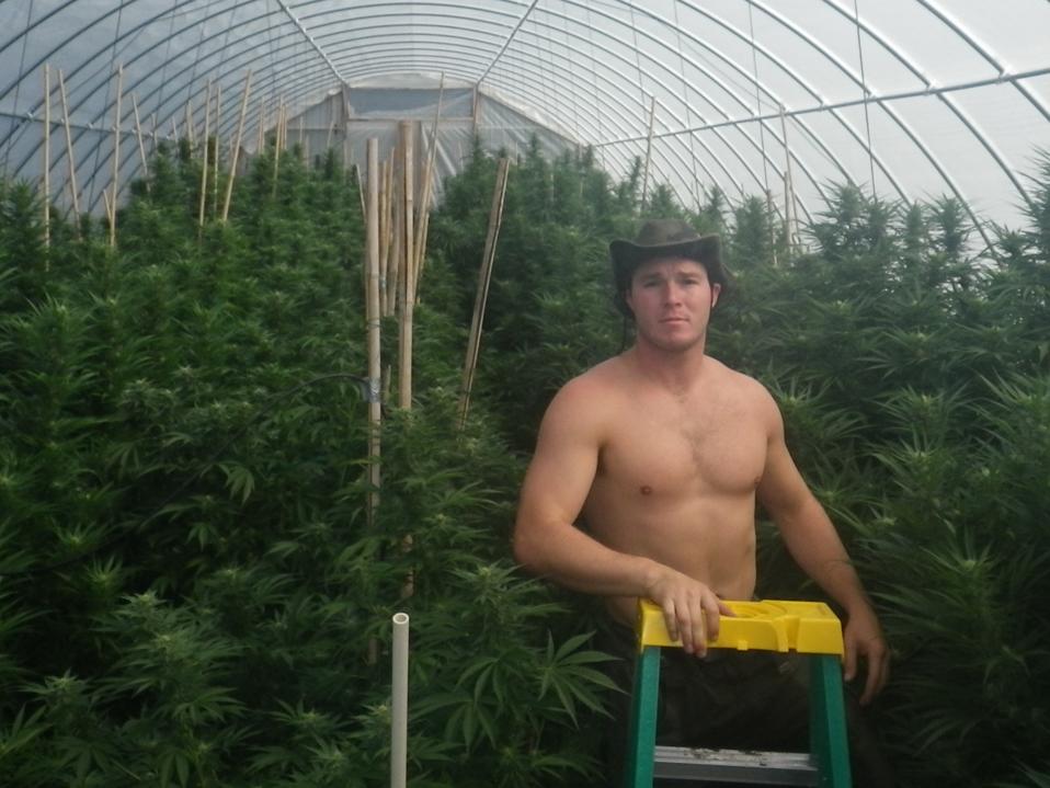 Sean Stamm: Tactile President SoHum Royal Cannabis Company His Current ...