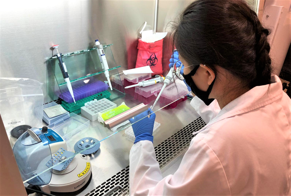 Singapore Billionaire’s Son Leads Biotech Labs To Export COVID-19 Test Kits
