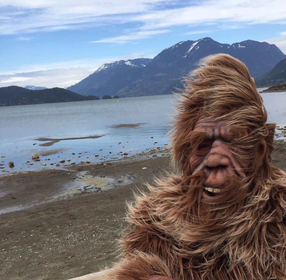 Learn How The Elusive Sasquatch Has Become A Rewilding Success Story ...