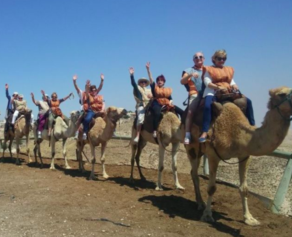 The Israel Company Trying To Bridge Gaps Through Tourism