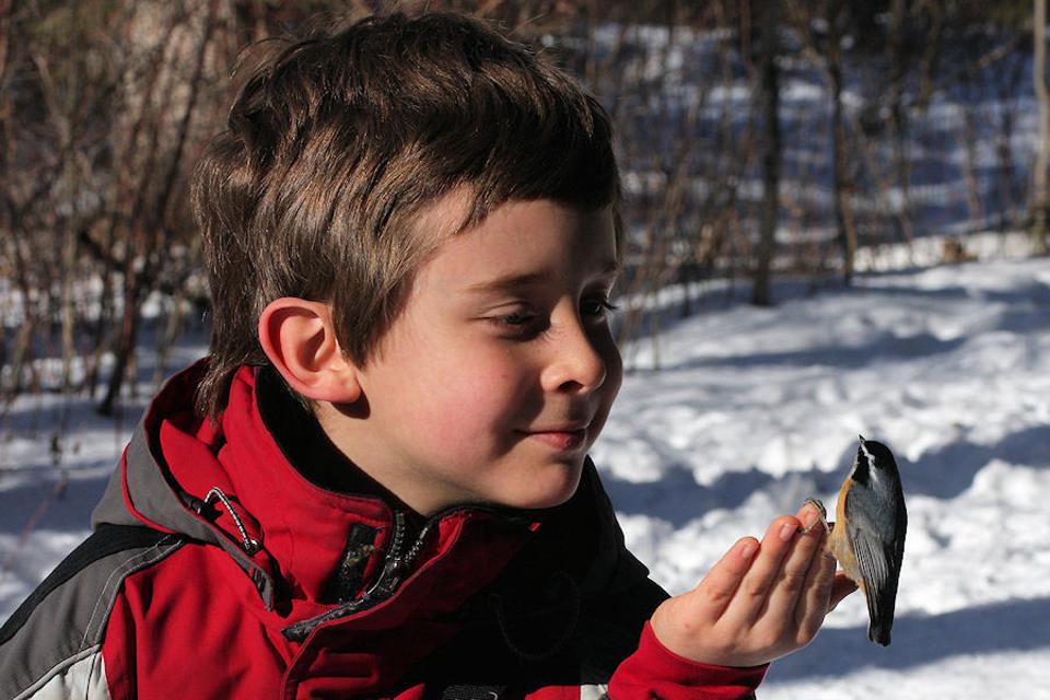 Social Distancing Makes For Global ‘Big Day’ Bird Watching Records