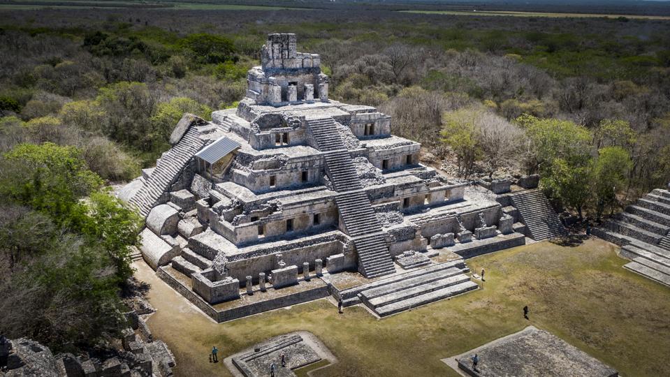 A Hunt For The Jungle Turkey of The Yucatan