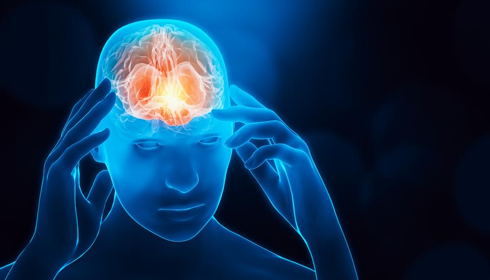 Neuroscientists Discover Each Of Us Has A Distinct Brain Signature ...