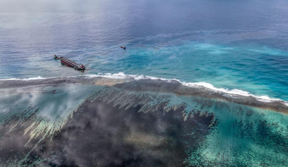 ‘Damage To The Coral Reefs May Be Irreversible’: Japanese Tanker ...