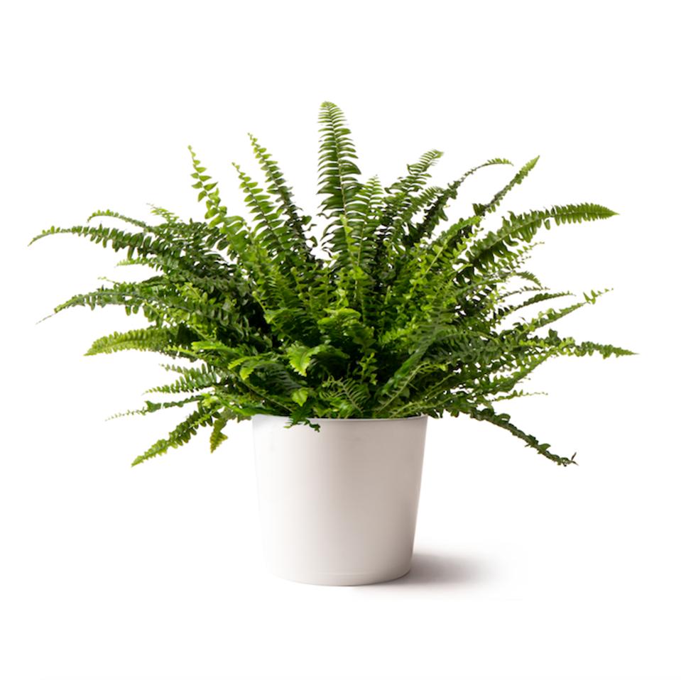 Stylish Back To Work Stationery And Accessories For A Discerning Desk