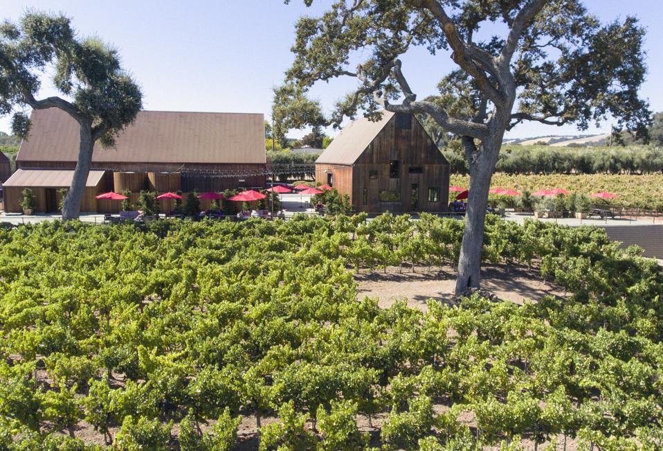 Austin Hope’s Cabernet Stands Among The World’s Best Wines