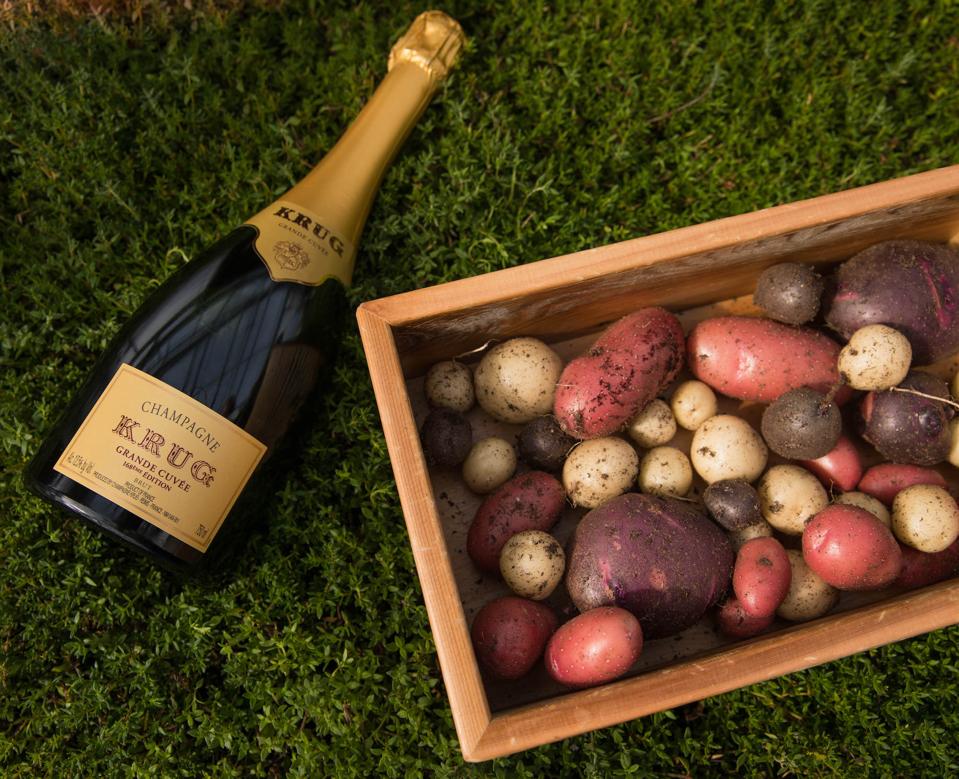 Krug Believes In Pairing Champagne With All Food - Even Potato Salad