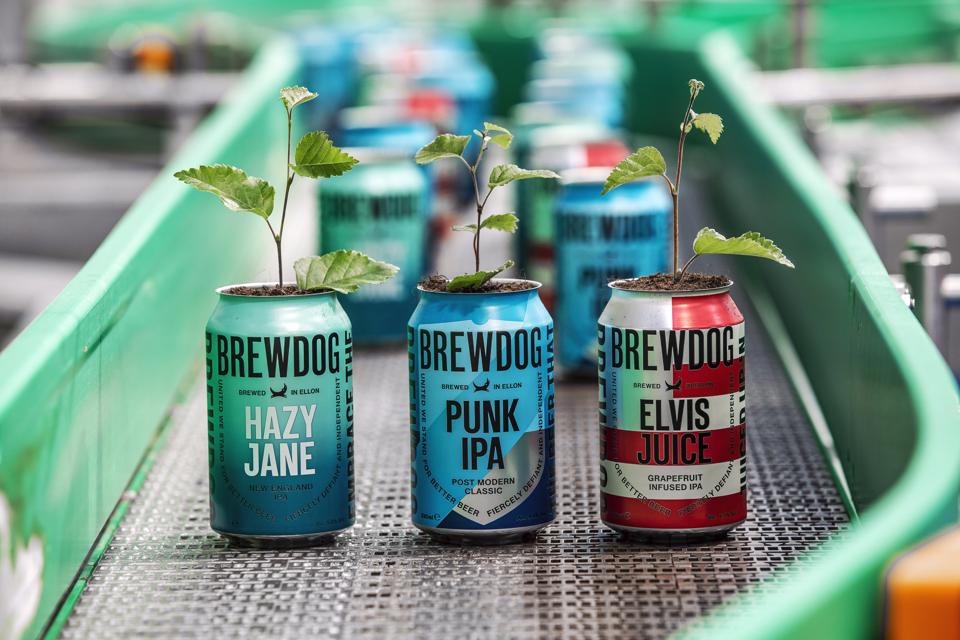 BrewDog Is Officially The First Carbon Negative Beer Business