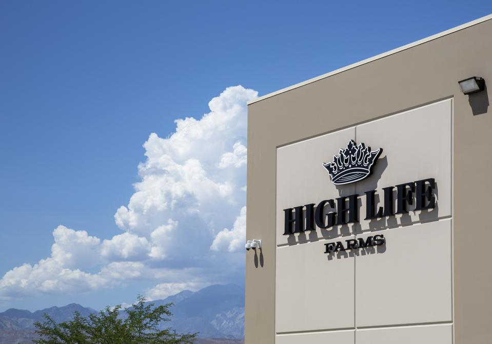 Michigan’s Cannabis Demand Outpaces Supply-High Life Farms Alleviates ...