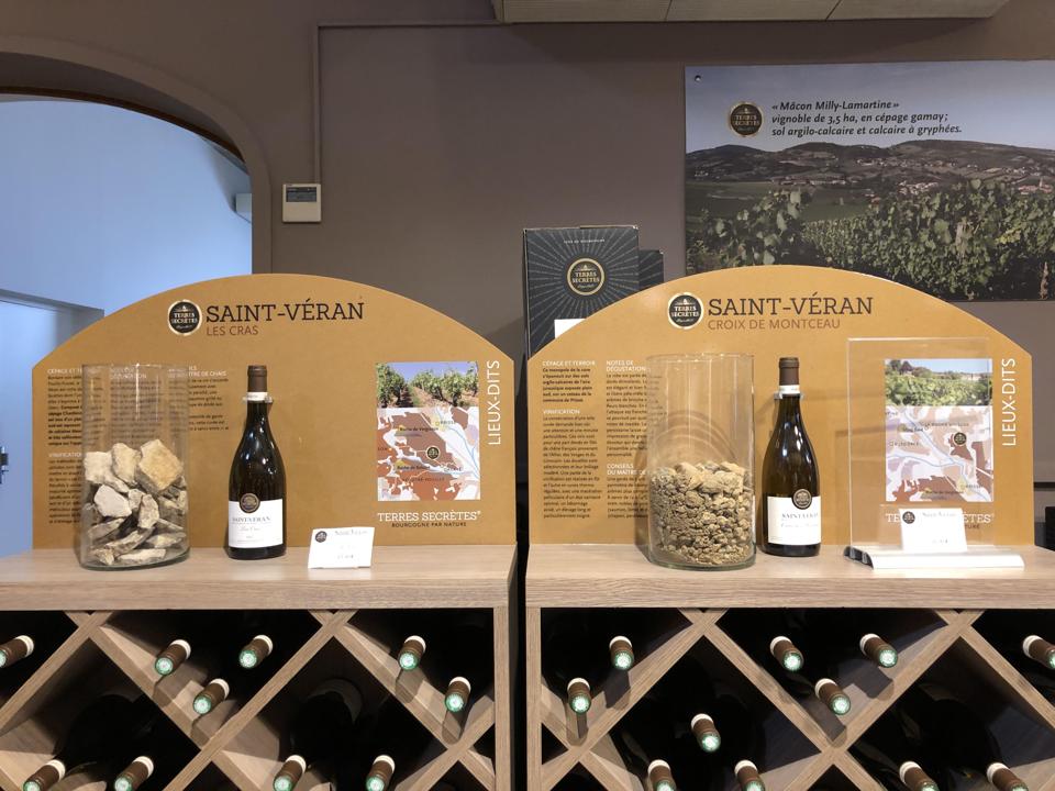 Tasting ‘All The Range’ Of French Winemaking Cooperatives