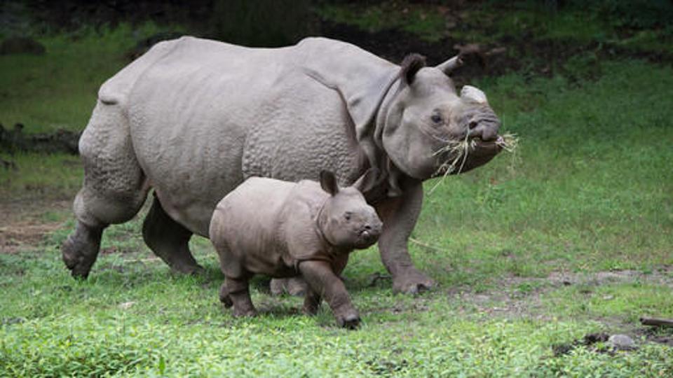 These Iconic New York City Attractions Are Welcoming Visitors