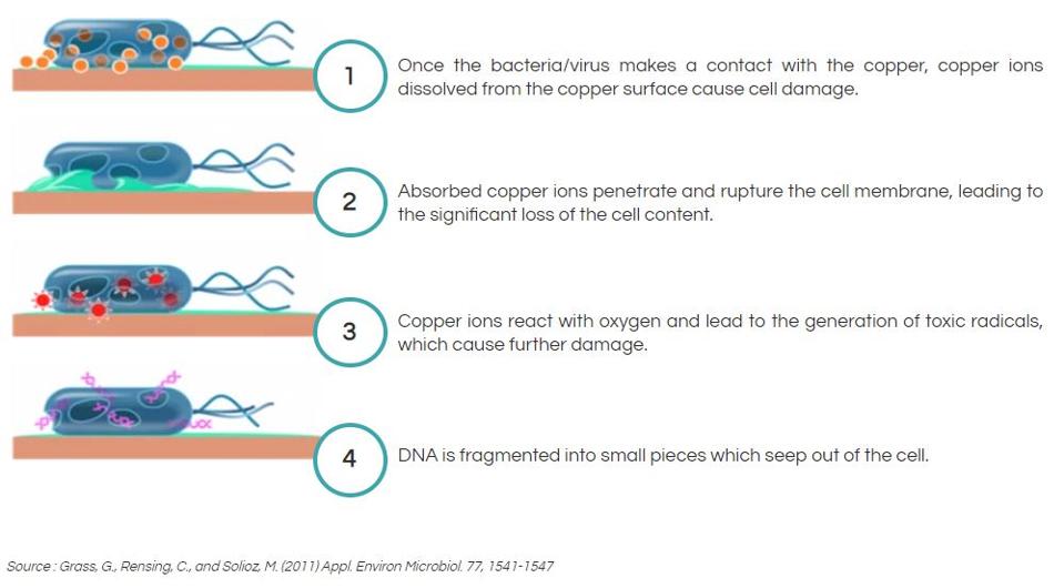 Can Copper Clothing Really Kill Coronavirus?