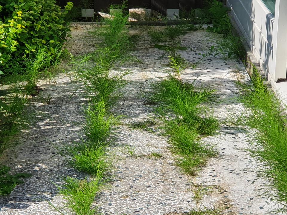 “Failure Is Not An Option” — How To Accept When Things Go Wrong