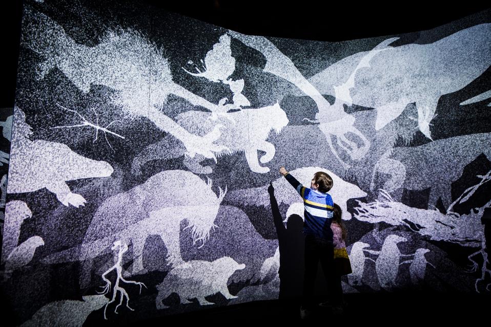 Inside The Natural History Museum’s New ‘Fantastic Beasts: The Wonder ...