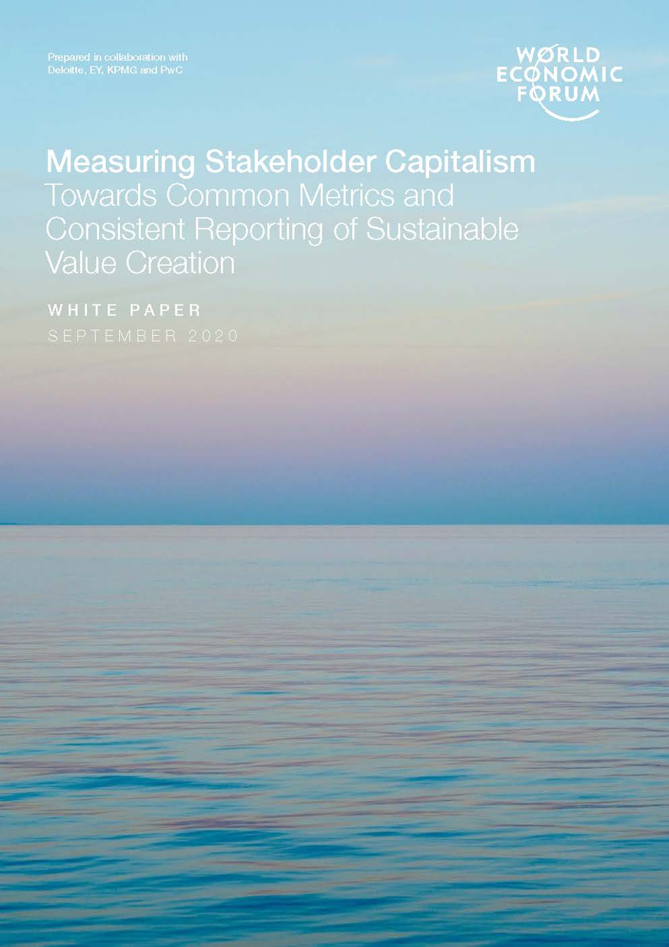 The Purpose Of The IBC/WEF Stakeholder Capitalism Metrics Initiative: A ...