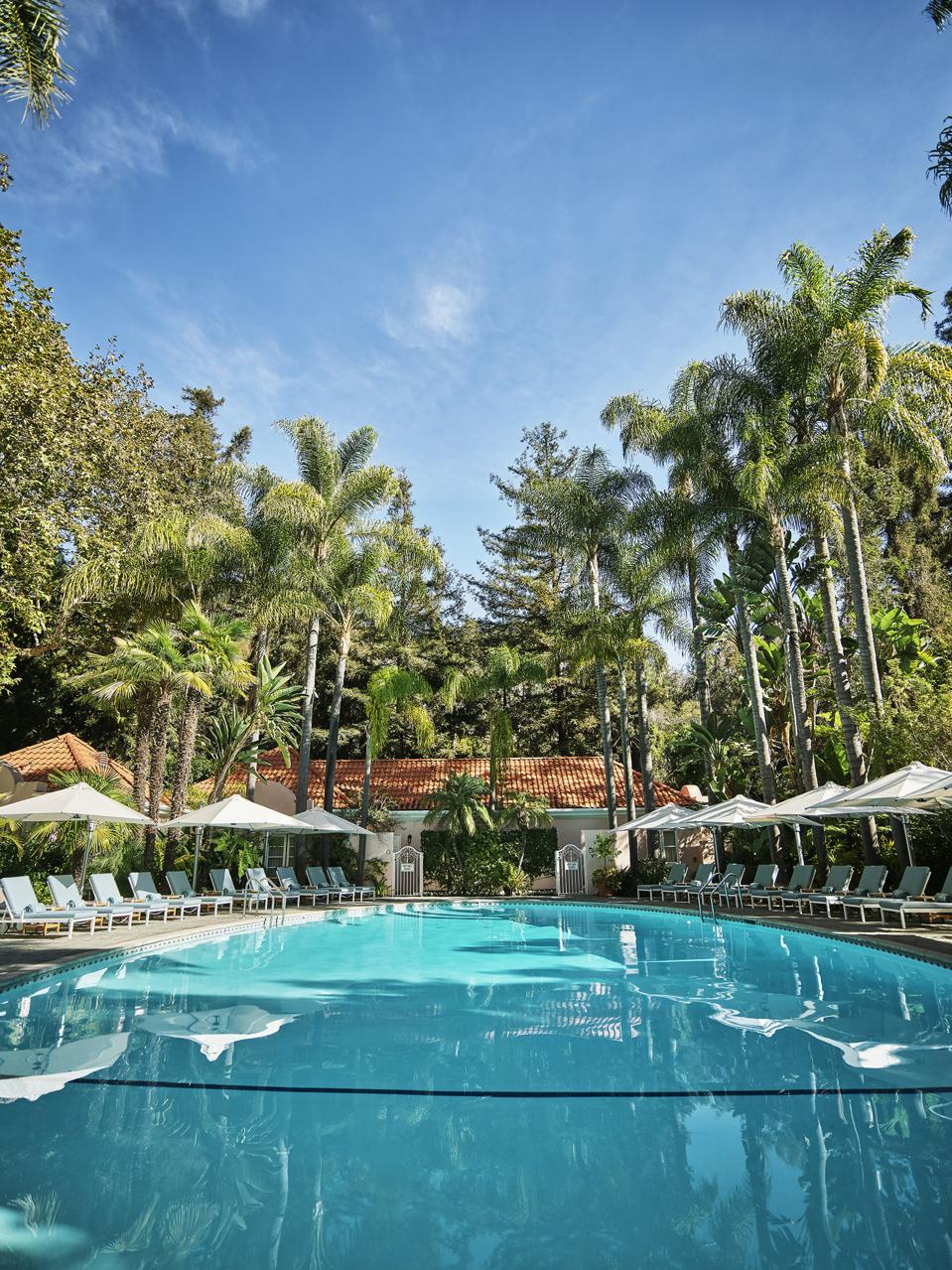 A Luxury Work-From-Hotel Idea: 12 Lush Acres With Swans At The Hotel ...