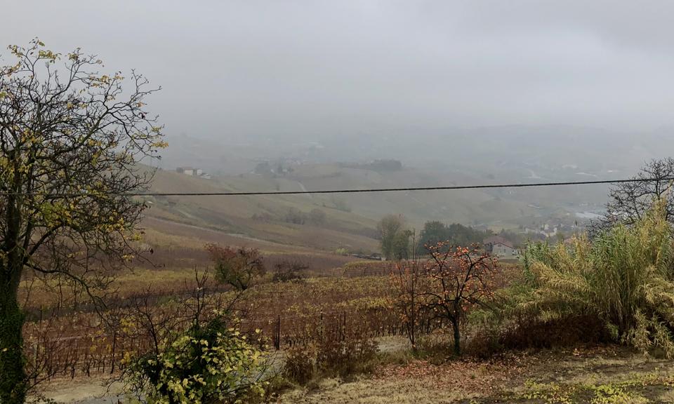 That Old Barolo Dichotomy Is Worth Revisiting