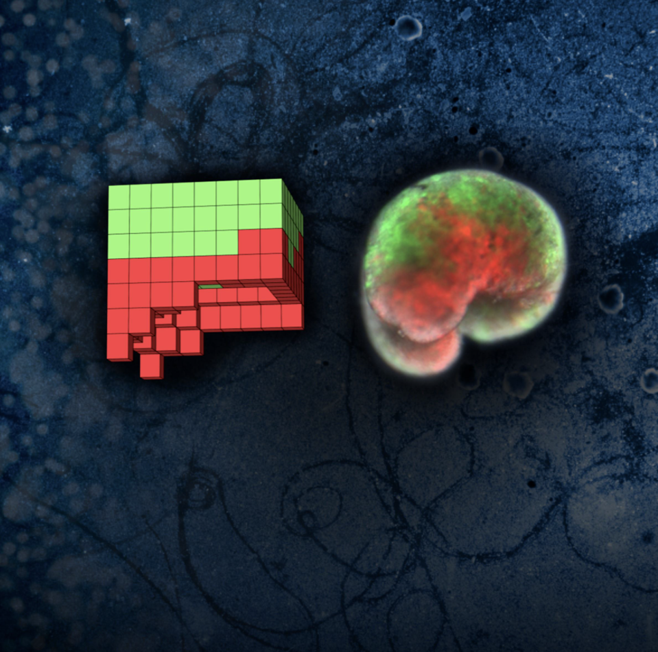 Nominated For A Prestigious Design Award, This Living Organism Is ...