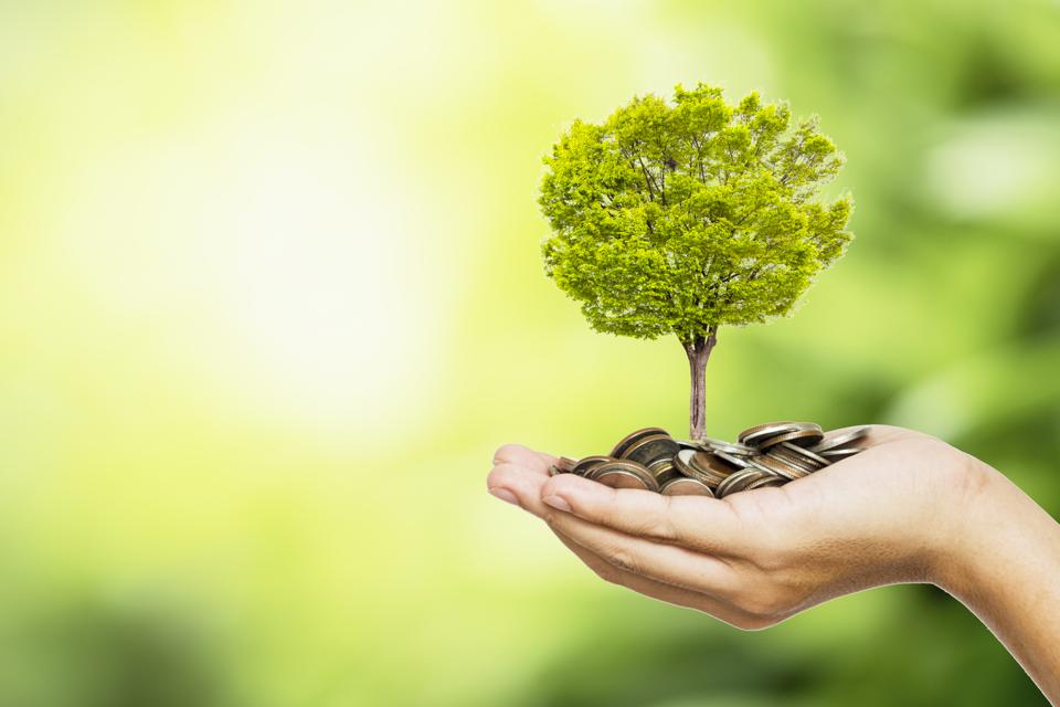 Where’s My Money Going? A Deep Dive Into Business Cash Drains