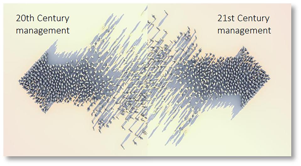 Do You Understand Your Management Model?