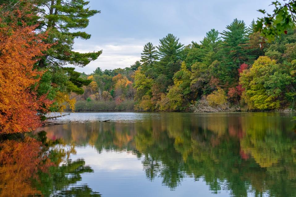 Immerse Yourself In The Beauty Of Wisconsin With These Pristine Nature ...