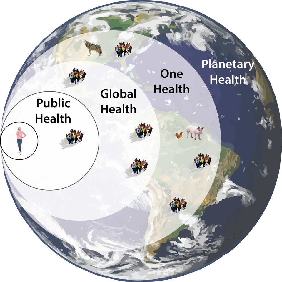 What Is Planetary Health What Is Planetary Health