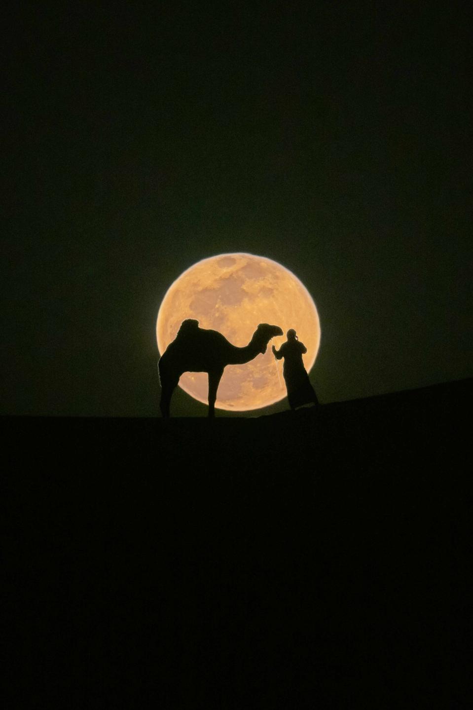 Rare ‘Moon Dog’ Captured In Antarctica While Epic ‘Super Pink Moon ...