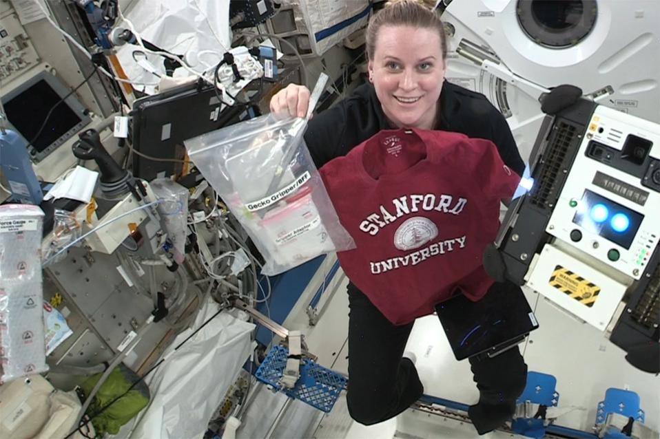 This Gecko-Inspired Robotic Gripper Could Help Clean Up Space Junk