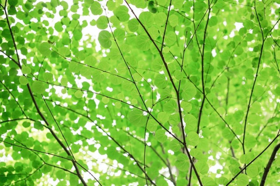 Why This Spring Could Be A ‘Human Spring’