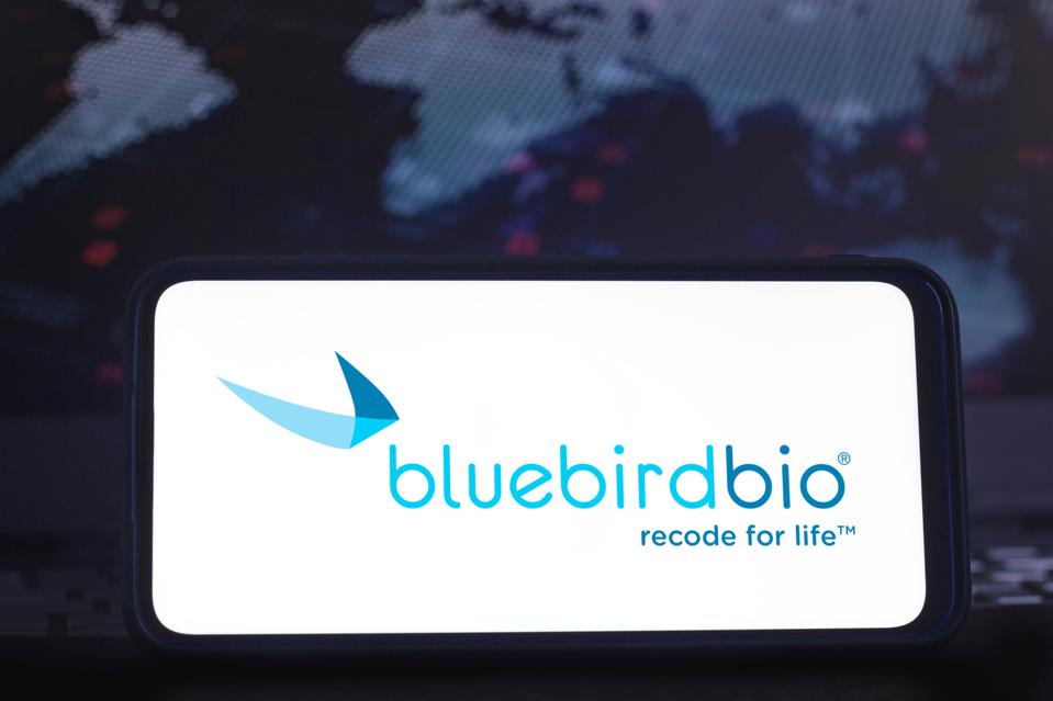 What’s Next For bluebird bio After The U.S. FDA Lifts Hold On Clinical ...
