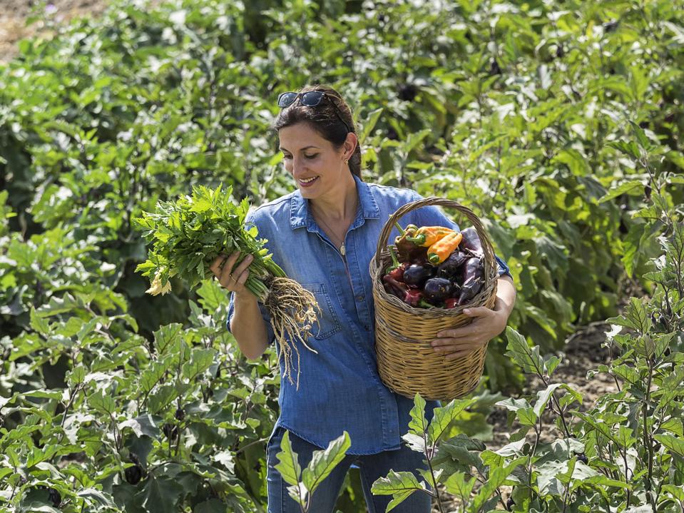 Anthropologist Rediscovers The Multicultural Roots Of Sicilian Cuisine ...