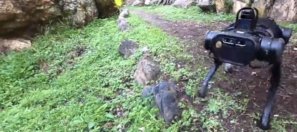 Facebook Robots Are Getting Smarter, Watch Them Go Wild (Video)