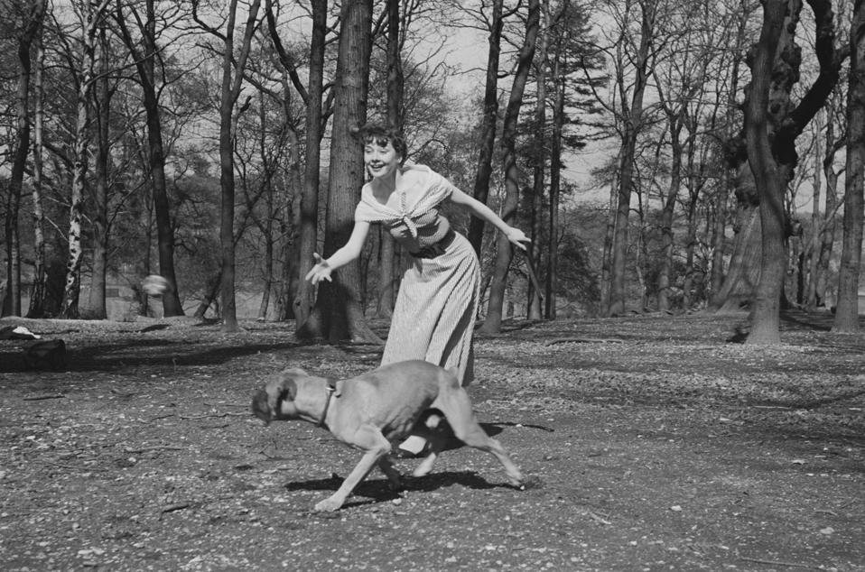 Audrey Hepburn’s Love For Dogs Became Part Of Her Aesthetic