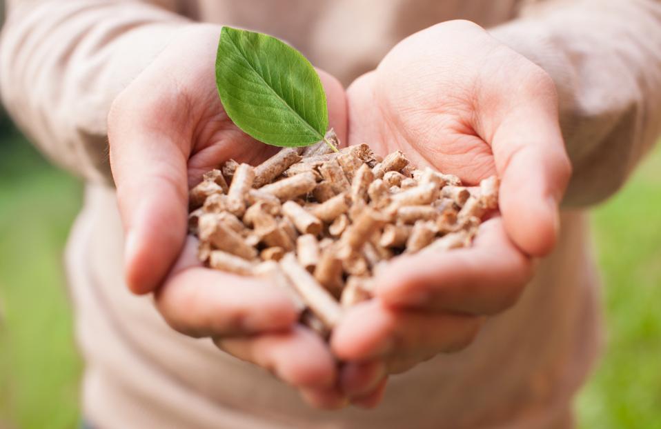 Why Biomass May Not Be The Clean Energy Panacea We Expected