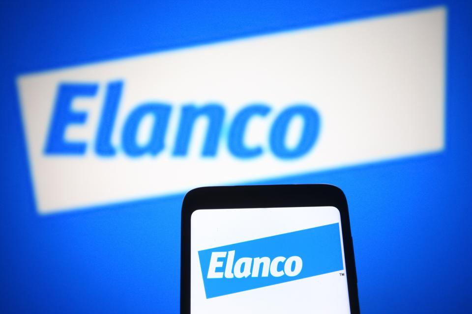 What’s Next For Elanco Stock After A 17% Fall In A Month?