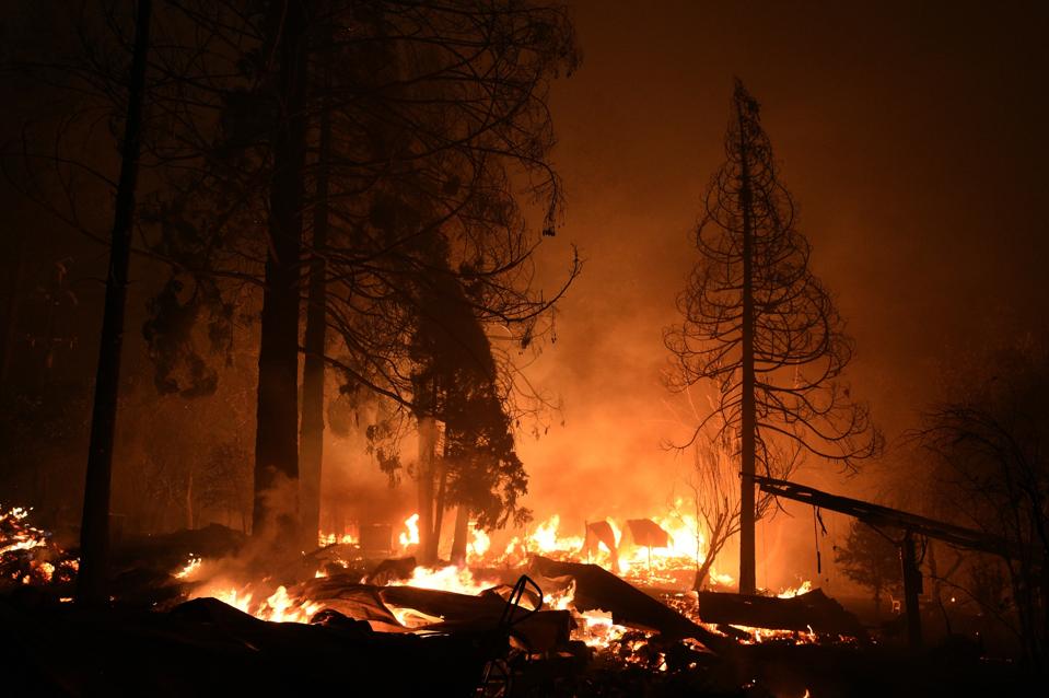 Wildfires, Heatwaves, And The IPCC Report: Yet Climate Policy Is Losing ...