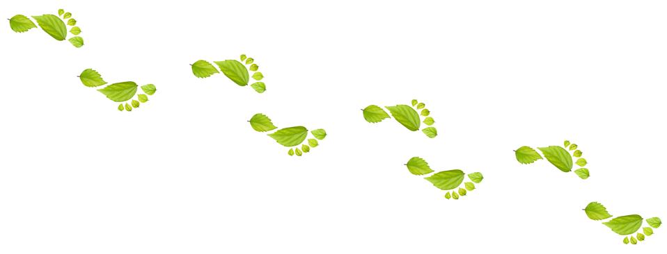 How To Measure And Offset Your Agency’s Carbon Footprint