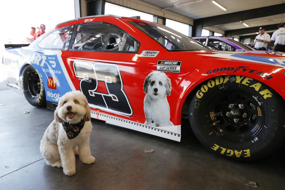 Nascar May Be Going To The Dogs, And That’s A Very Good Thing