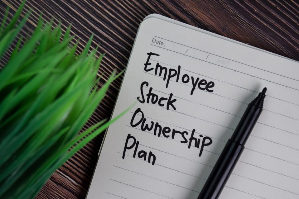 How Understanding Your Employee Stock Option Plan Can Make You Rich