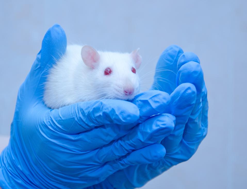 An Opiate-Free, Durable, Non-Addictive Pain Killer For Inflammatory ...