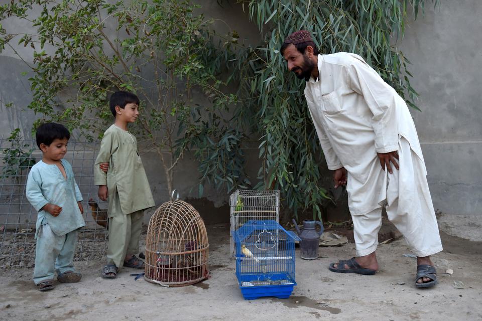 To Defeat Terrorism In Afghanistan, Start With Opium Crops in Nangarhar ...