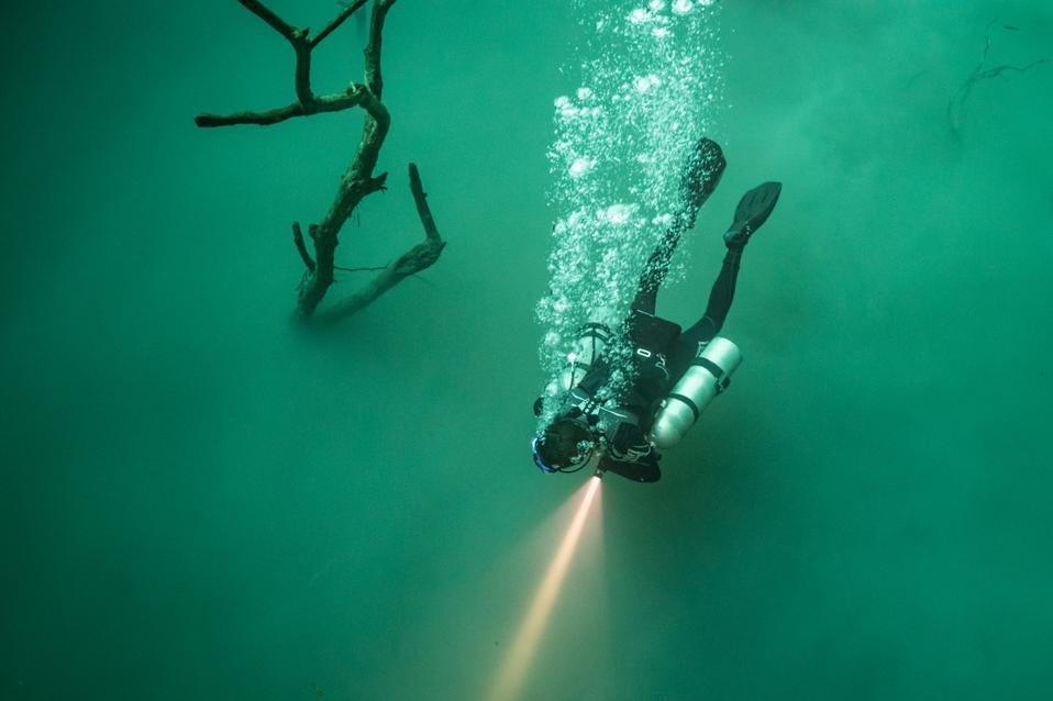 Dive Into The Best Underwater Attractions In The World