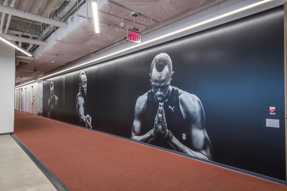 Puma Opens New North American Headquarters Amid Growth