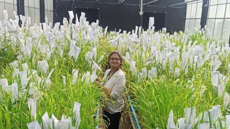 Meet The Indian Researcher Helping To Solve The Deadly…