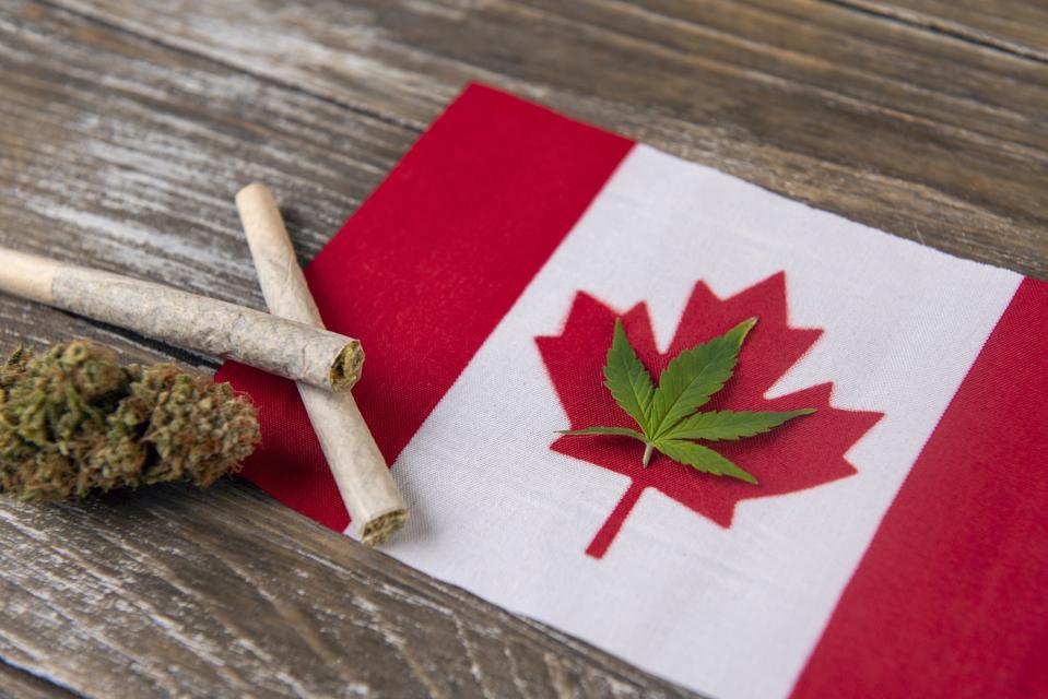 Ontario Regulator Warns Cannabis Dispensaries About Selling Unlicensed ...