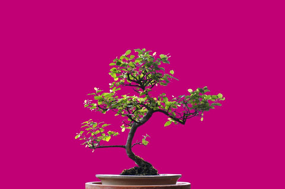 The Surprising Benefits Of Admitting Mistakes: 5 Ways To Build ...